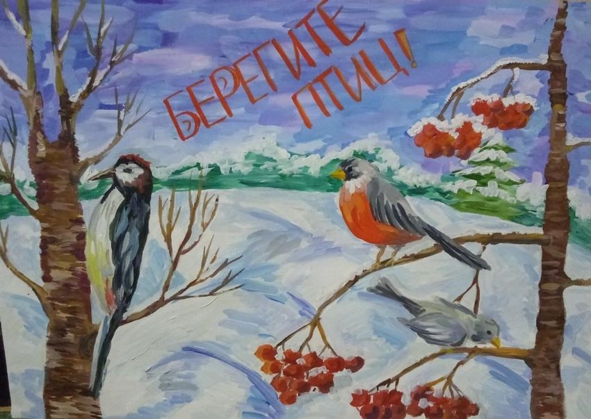 Рисунки Берегите птиц